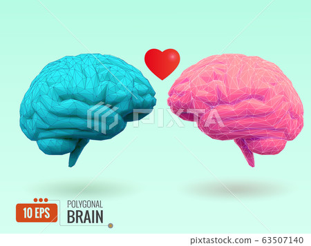 Couple of brain in love illustration - Stock Illustration [63507140 ...