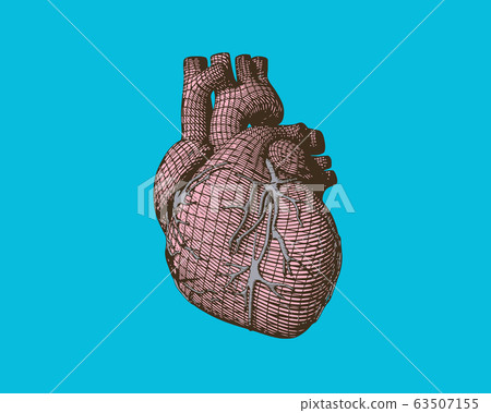 Pink wireframe human heart on green BG - Stock Illustration [63507155 ...
