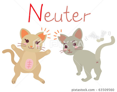 Illustration of the regional cat TNR Neuter - Stock Illustration ...