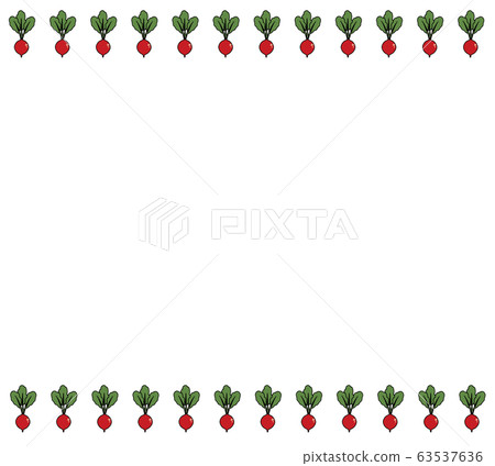 Vegetable Radesh - Stock Illustration [63537636] - PIXTA