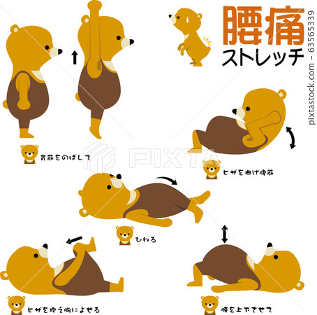 Back pain stretch of bear - Stock Illustration [63565339] - PIXTA