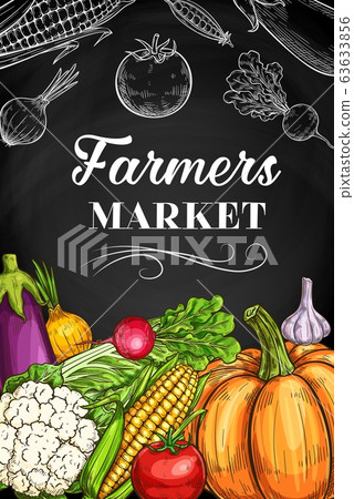 Chalkboard with fresh vegetable chalk sketches - Stock Illustration ...