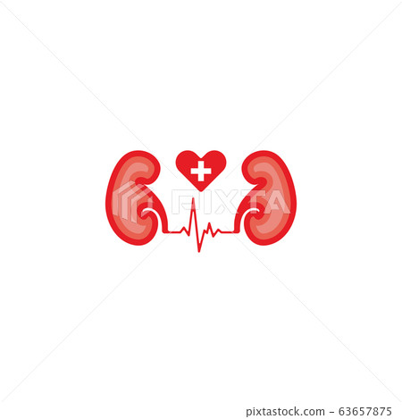 The Symbol Kidney Love Design Vectors Template-插圖素材 [63657875] - PIXTA圖庫