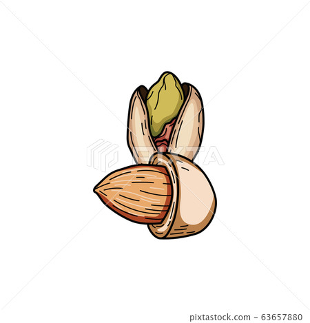 Almond Nut Logo Design Vectors Illustrations - Stock Illustration ...