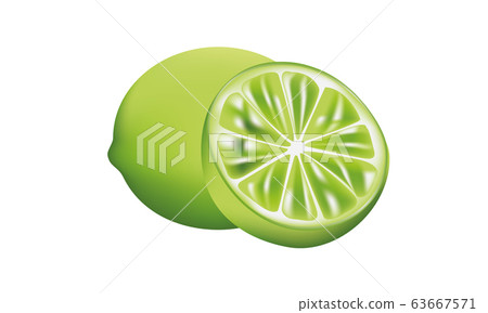 Fresh lime and cut vector and illustration - Stock Illustration ...