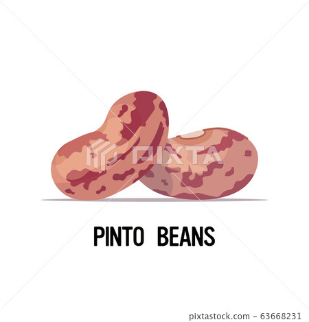 pinto beans organic healthy vegetarian food on... - Stock Illustration ...