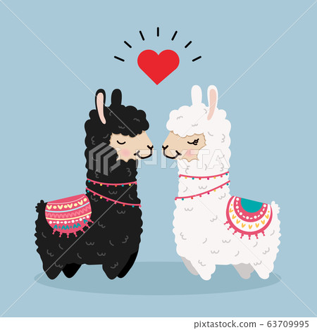 alpaca couple in love vector - Stock Illustration [63709995] - PIXTA