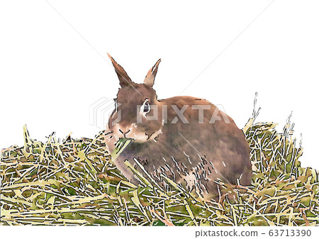 Illustration of a rabbit eating grass... - Stock Illustration [63713390 ...