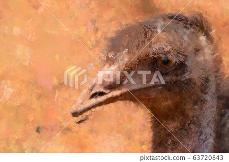 Digital Abstract Watercolor Of A Muddy Emu - Stock Illustration ...