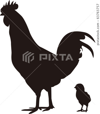 Parent chicken and chick. Image of parents and... - Stock Illustration ...