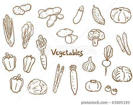 Vegetables hand drawn line drawing set... - Stock Illustration ...