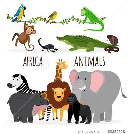 Cartoon exotic Africa animals-插圖素材 [63829338] - PIXTA圖庫
