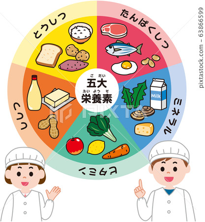 Five major nutrients school lunch - Stock Illustration [63866599] - PIXTA