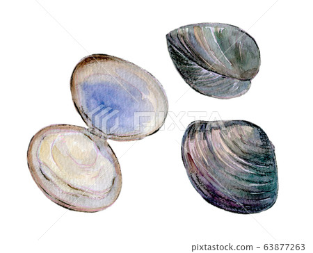 Watercolor illustration seafood shellfish seafood - Stock Illustration ...