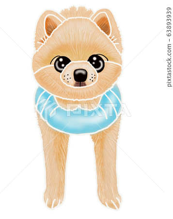 Pomeranian - Stock Illustration [63893939] - PIXTA