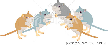 Rat with mask on during a meeting - Stock Illustration [63974902] - PIXTA
