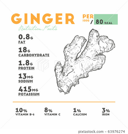 Nutrition fact of ginger, hand draw sketch vector. - Stock Illustration ...