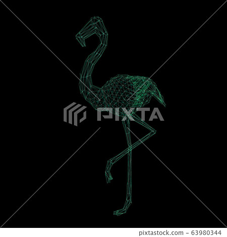 Wireframe polygonal flamingo - Stock Illustration [63980344] - PIXTA