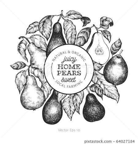 Pear design template. Hand drawn vector garden - Stock Illustration ...