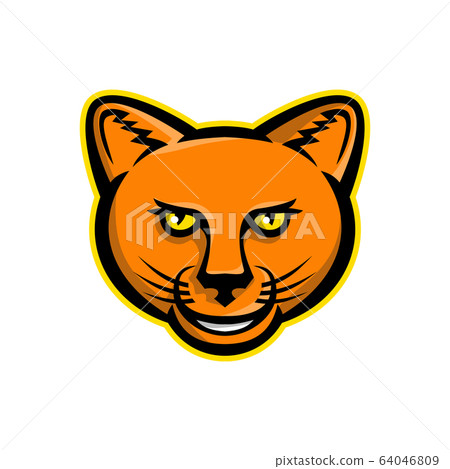 Smiling Puma Head Mascot - Stock Illustration [64046809] - PIXTA