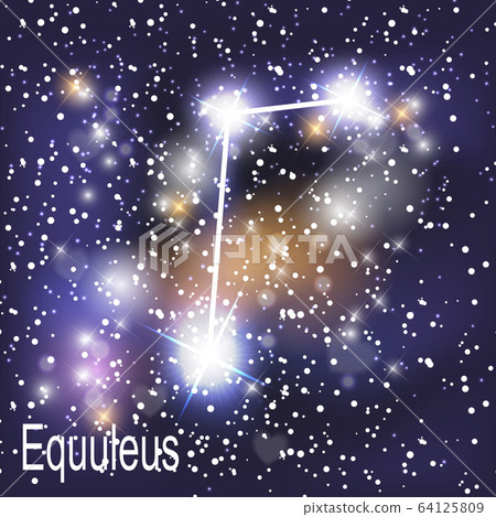 Equuleus Constellation with Beautiful Bright Stars - Stock Illustration ...