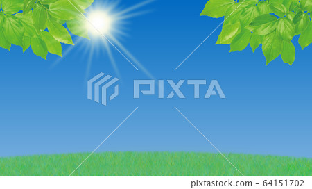 Fresh green sunbeams grassland - Stock Illustration [64151702] - PIXTA