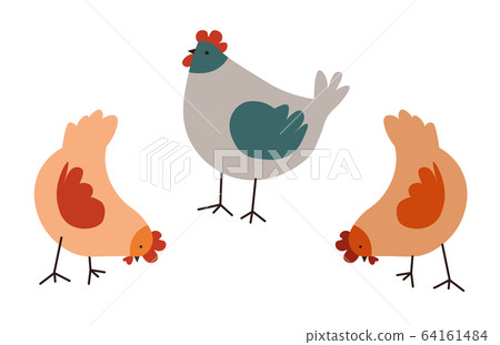 Farm Chicken Clip Art