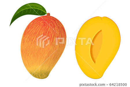 Cartoon detailed exotic whole and half mango - Stock Illustration ...
