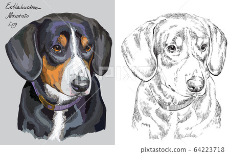 Colorful and monochrome hand drawing vector-插圖素材 [64223718] - PIXTA圖庫