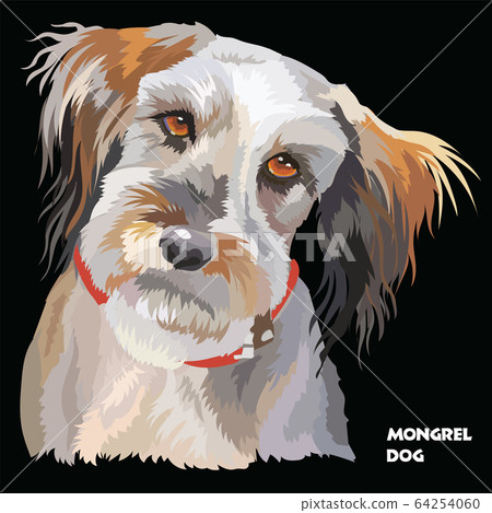 Fluffy dog colorful vector portrait - Stock Illustration [64254060] - PIXTA