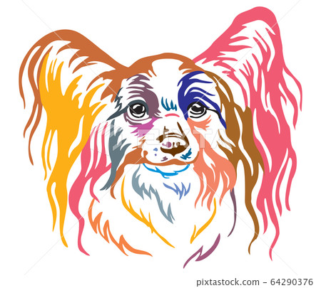 Colorful decorative portrait of Papillon Dog - Stock Illustration ...