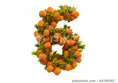 Number 6 from pineapples, 3D rendering - Stock Illustration [64290907 ...