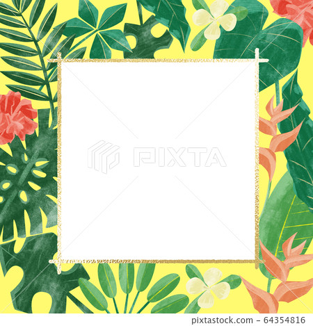 Tropical tropical summer frame - Stock Illustration [64354816] - PIXTA