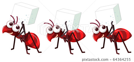 Three red ants with sugar cube on white background - Stock Illustration ...