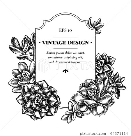 Badge design with black and white succulent... - Stock Illustration ...