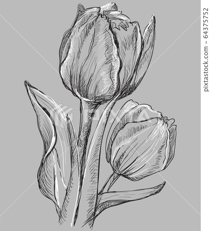 Vector grey flower 10 - Stock Illustration [64375752] - PIXTA