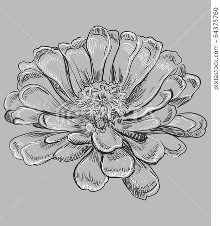 Vector grey flower 6 - Stock Illustration [64375760] - PIXTA