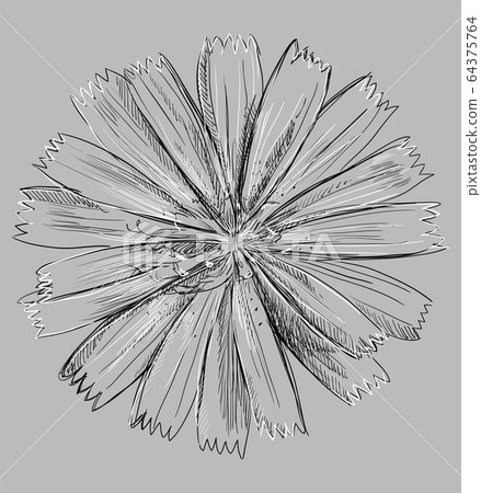 Vector grey flower 2 - Stock Illustration [64375764] - PIXTA