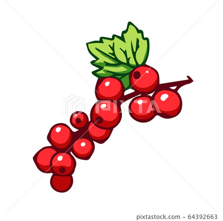 Branch of red currant. Cartoon vector icon - Stock Illustration ...