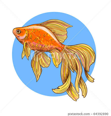 Shiny goldfish on a blue round background - Stock Illustration ...