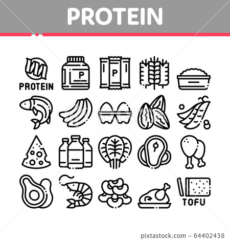 Protein Food Nutrition Collection Icons Set Vector - Stock Illustration ...