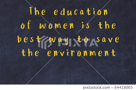 Chalk wise inscription on black chalkboard - Stock Illustration ...