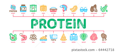 Protein Food Nutrition Minimal Infographic... - Stock Illustration ...