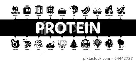 Protein Food Nutrition Minimal Infographic... - Stock Illustration ...