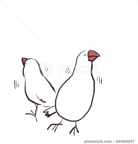 Fierce swan bird - Stock Illustration [64460097] - PIXTA