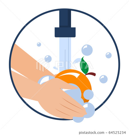 Hand washing orange vector isolated. Wash fruits - Stock Illustration ...