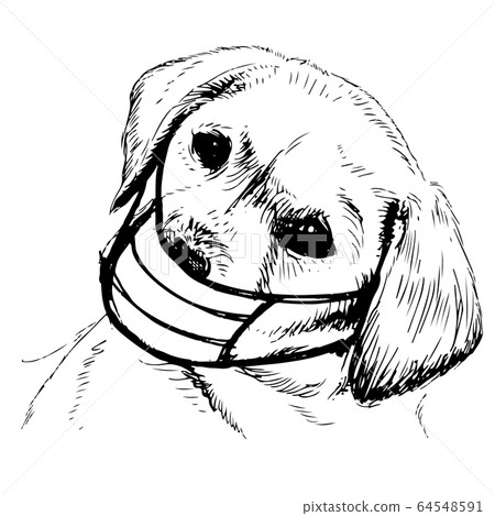 illustration of Labrador Retriever dog with mask - Stock Illustration ...