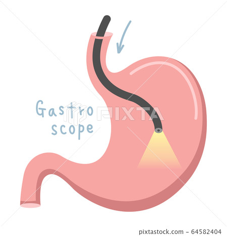 Illustration of stomach (stomach camera) - Stock Illustration [64582404 ...