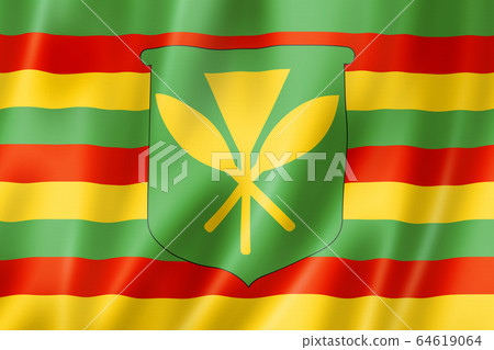 Kanaka Maoli ethnic flag, Hawaii - Stock Illustration [64619064] - PIXTA