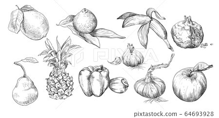 Hand drawing fruits set - Stock Illustration [64693928] - PIXTA